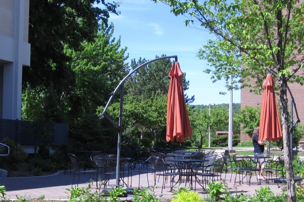 Farewell Party for Van Pelt and Opie Library Staff Members | Michigan ...