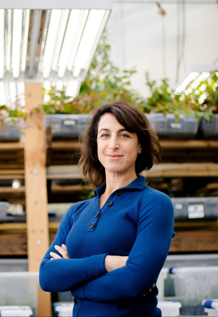 Biological Sciences Blog | Michigan Tech Blogs