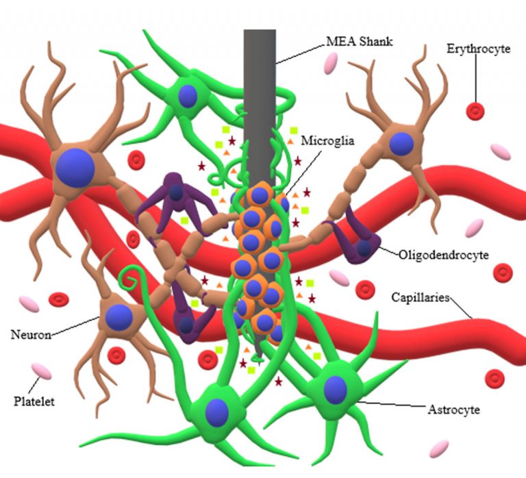 A Critical Review of Microelectrode Arrays and Strategies for Improving ...