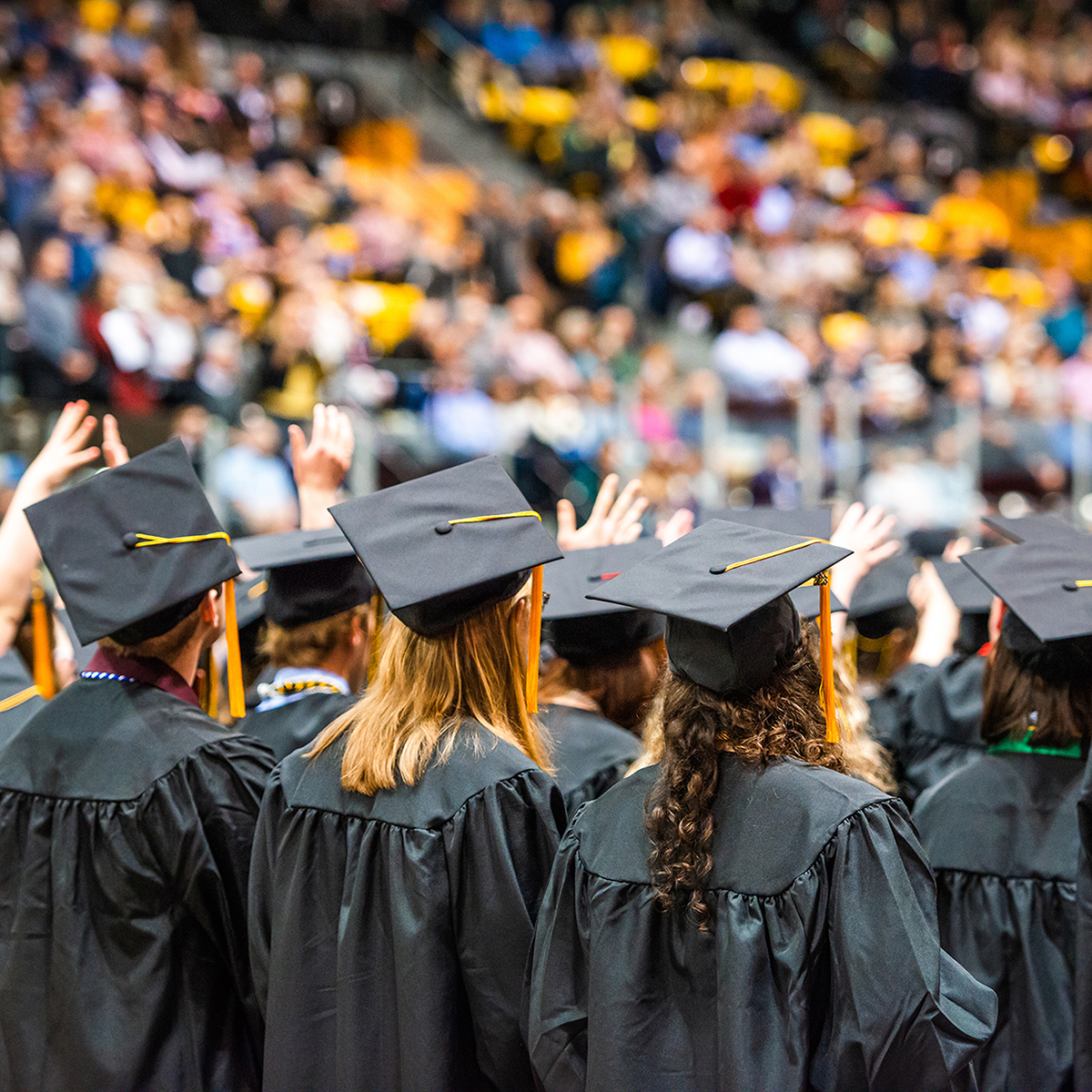 Interest Session: Online TechMBA and MEM Graduate Programs | Business ...