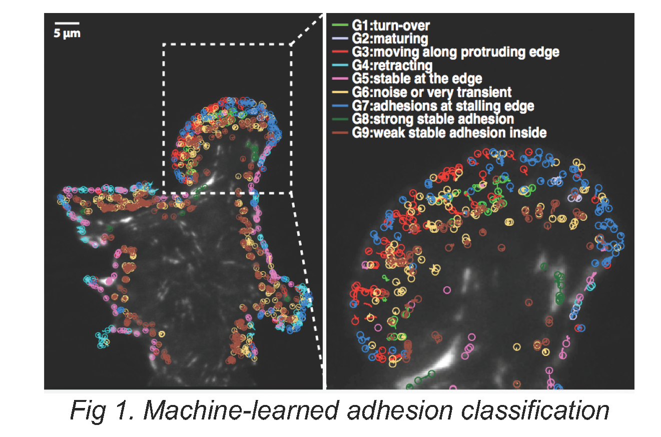 Paid Research Assistant Position for Computationally-keen Grad Students ...
