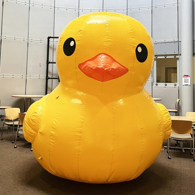 Talk to the Duck: The Rubber Duck Debugging Method | Computing News Blog