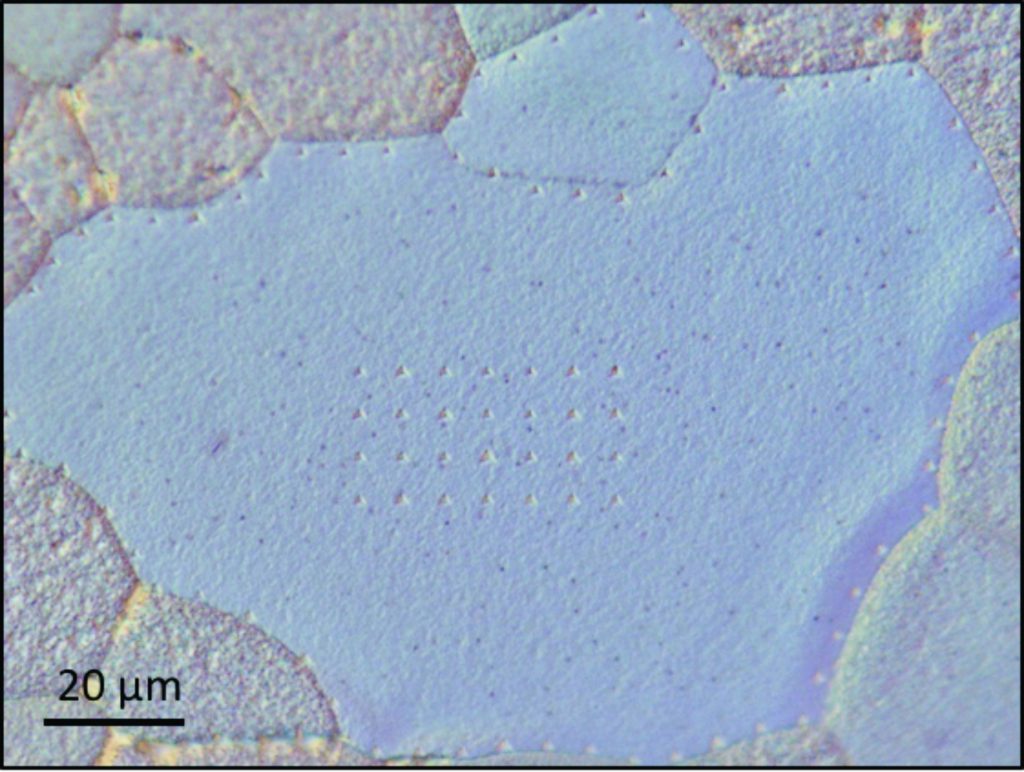The holy grail of energy storage—Solving the problems of lithium anodes ...