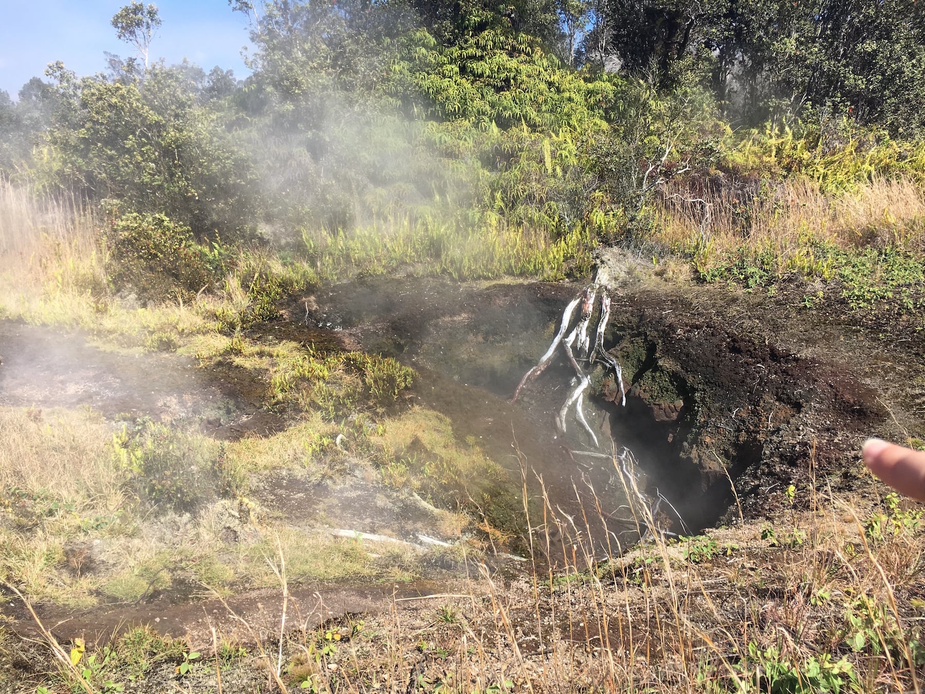 Chad Deering: Predicting Volcanic Unrest Via Plant Life Stress ...