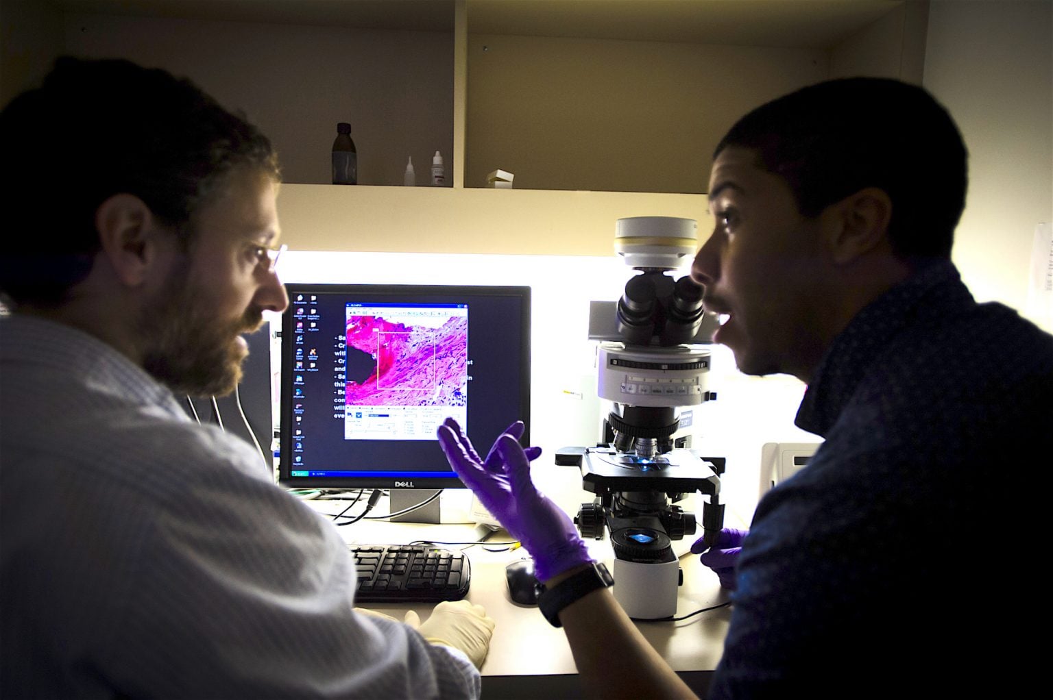 Jeremy Goldman: Stents—How to Stunt Stenosis | Engineering Blog