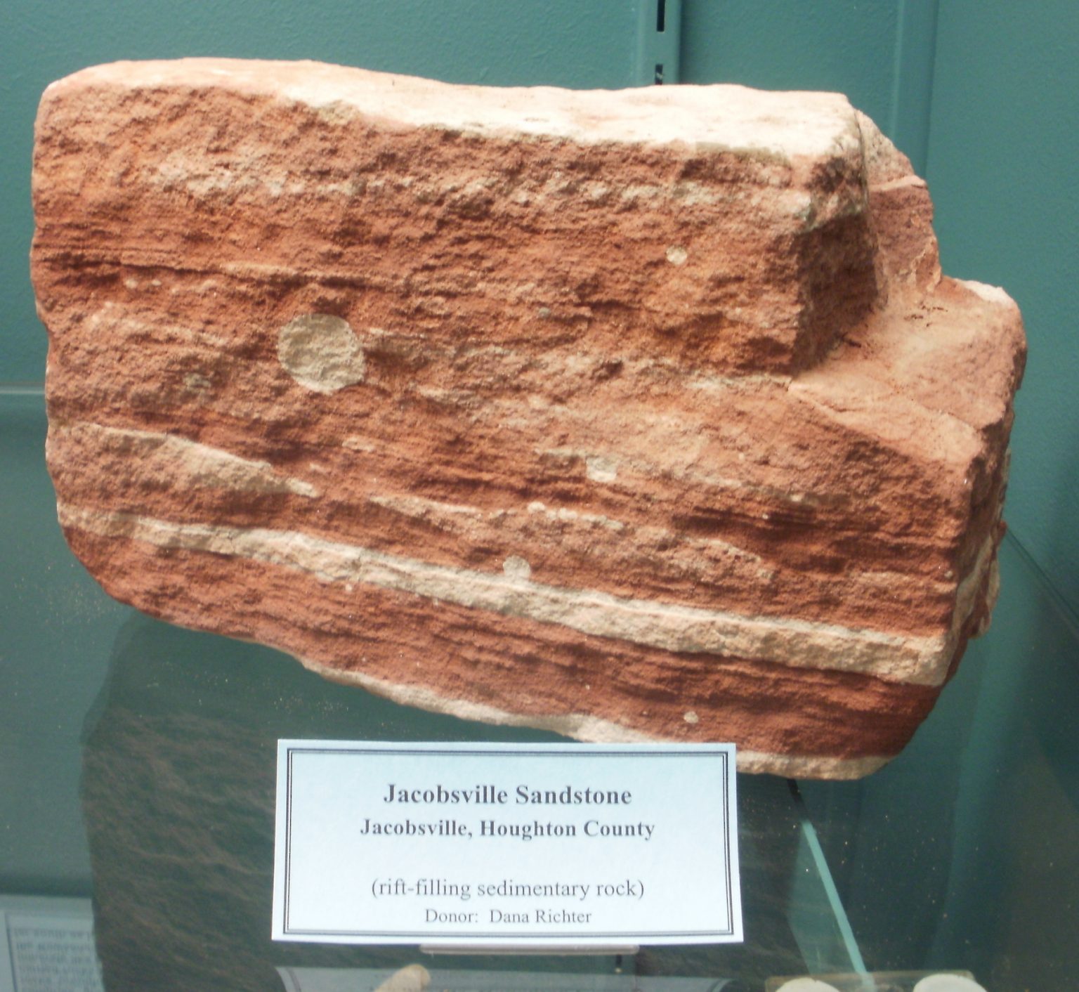 Tim Eisele: Backyard Metals | College of Engineering Blog