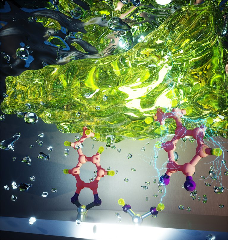 Bruce Lee: Bio-Inspired Designs | College of Engineering Blog