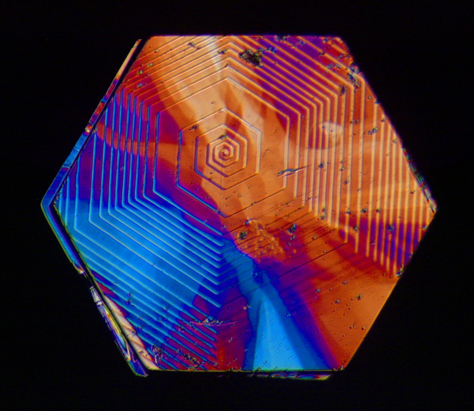 John Jaszczak: The A.E. Seaman Museum—120 Years | College of ...