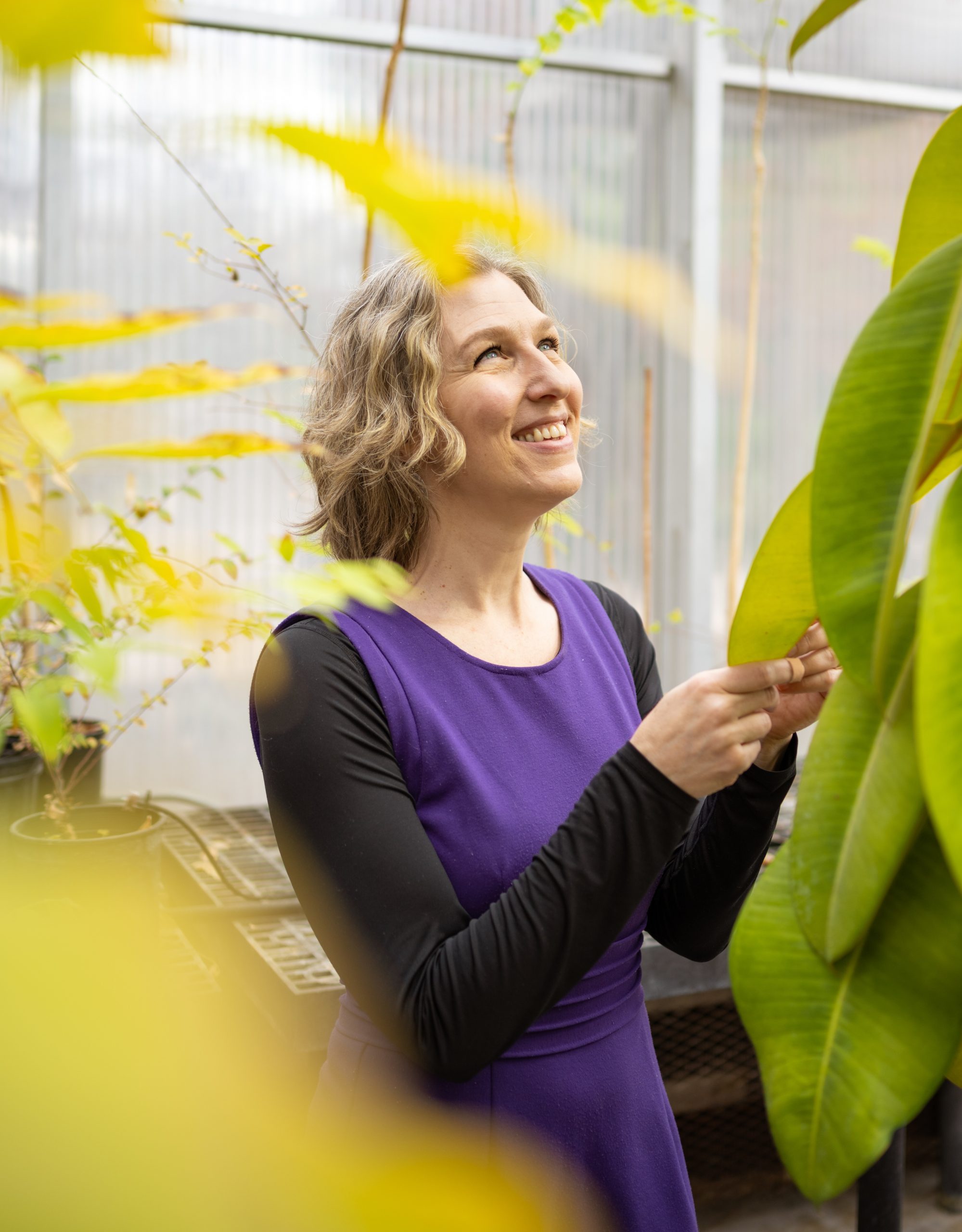 MTU College of Forest Resources and Environmental Science Welcomes New ...