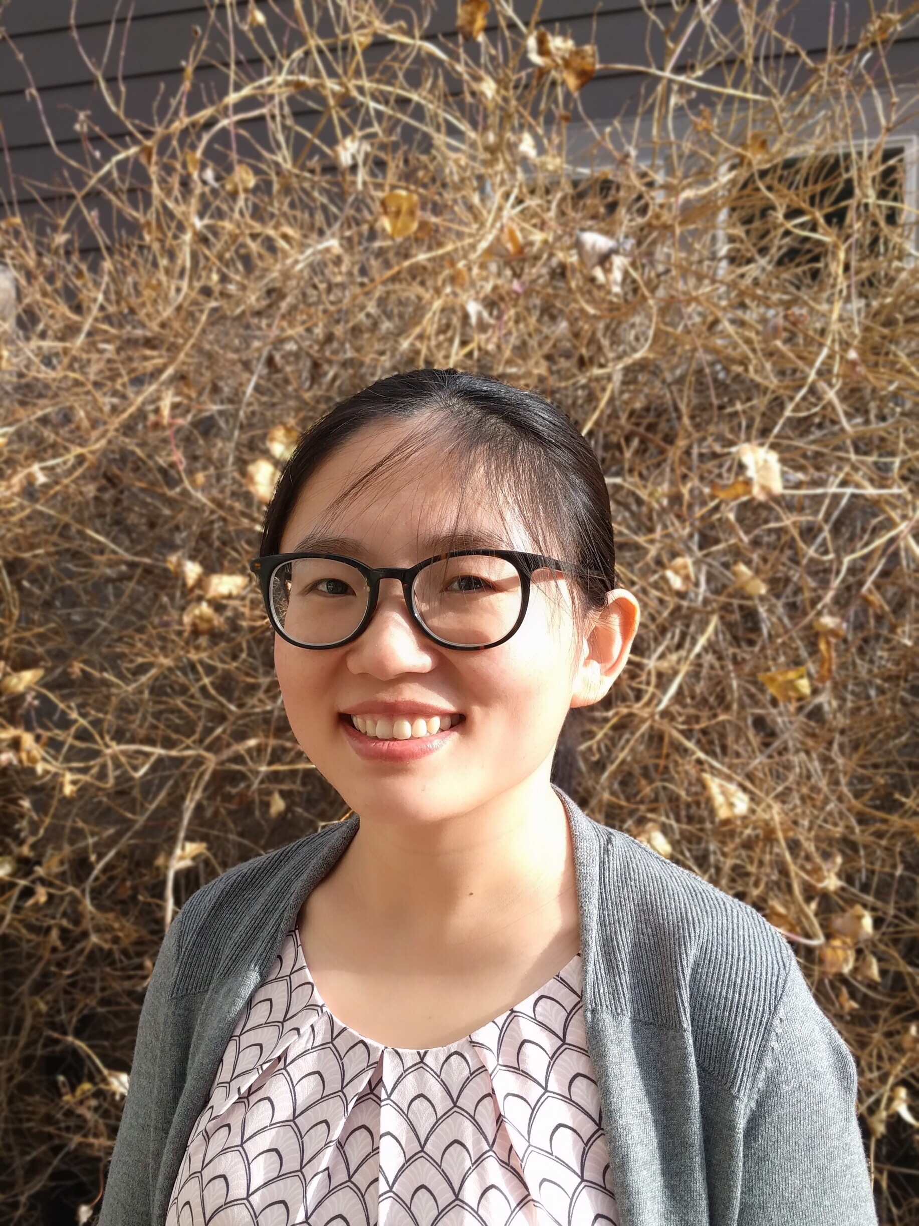Dr. Yanrui (Daisy) Ning Joins the GMES Faculty | GMES News