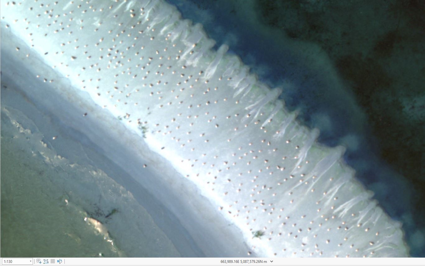 Parth Bhatt Powers Through With Python | Michigan Tech Global Campus News