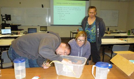 Michigan Teachers Participate in Mi-STAR | Psych & Human Factors News