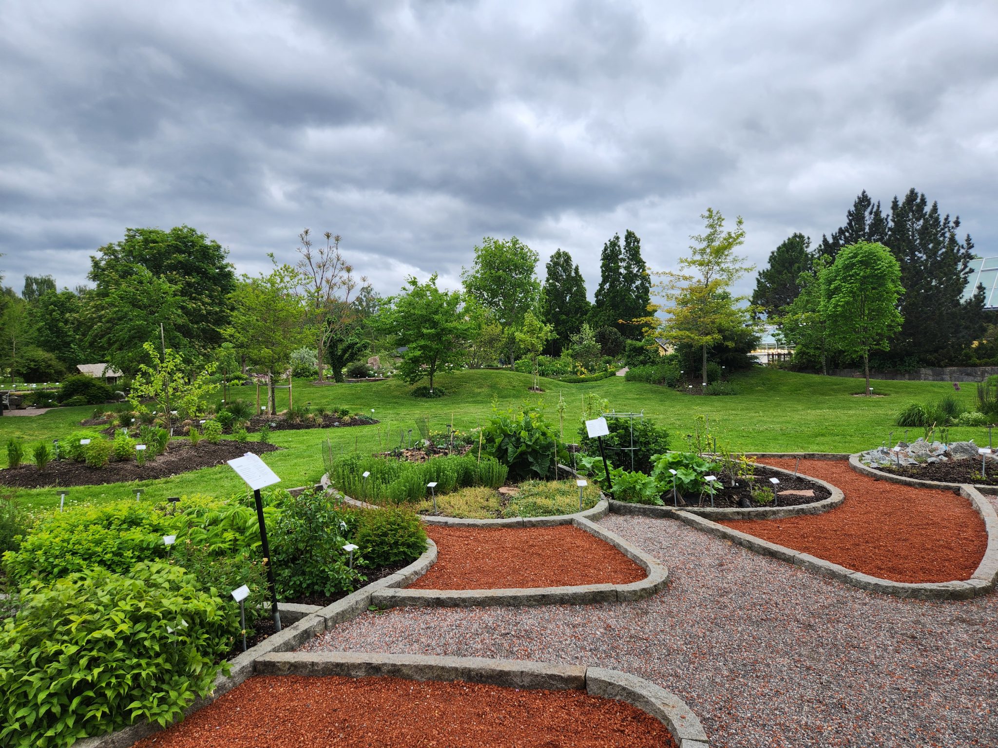 Learning from Linnaeus | Sustainability in Sweden Blog