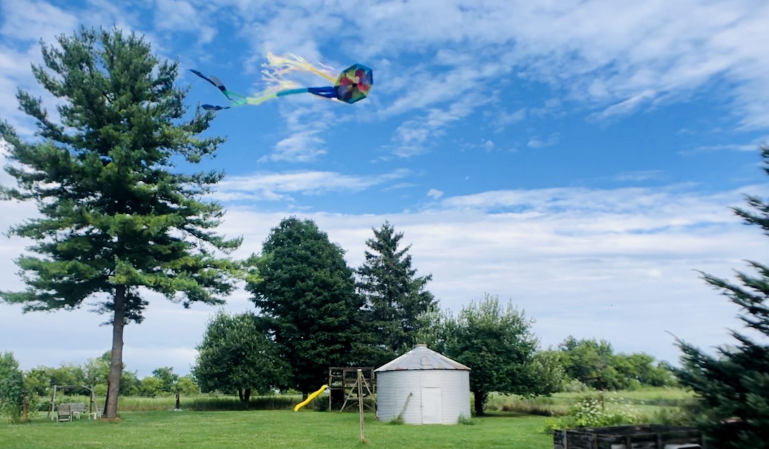 Kites and Community | VPA News